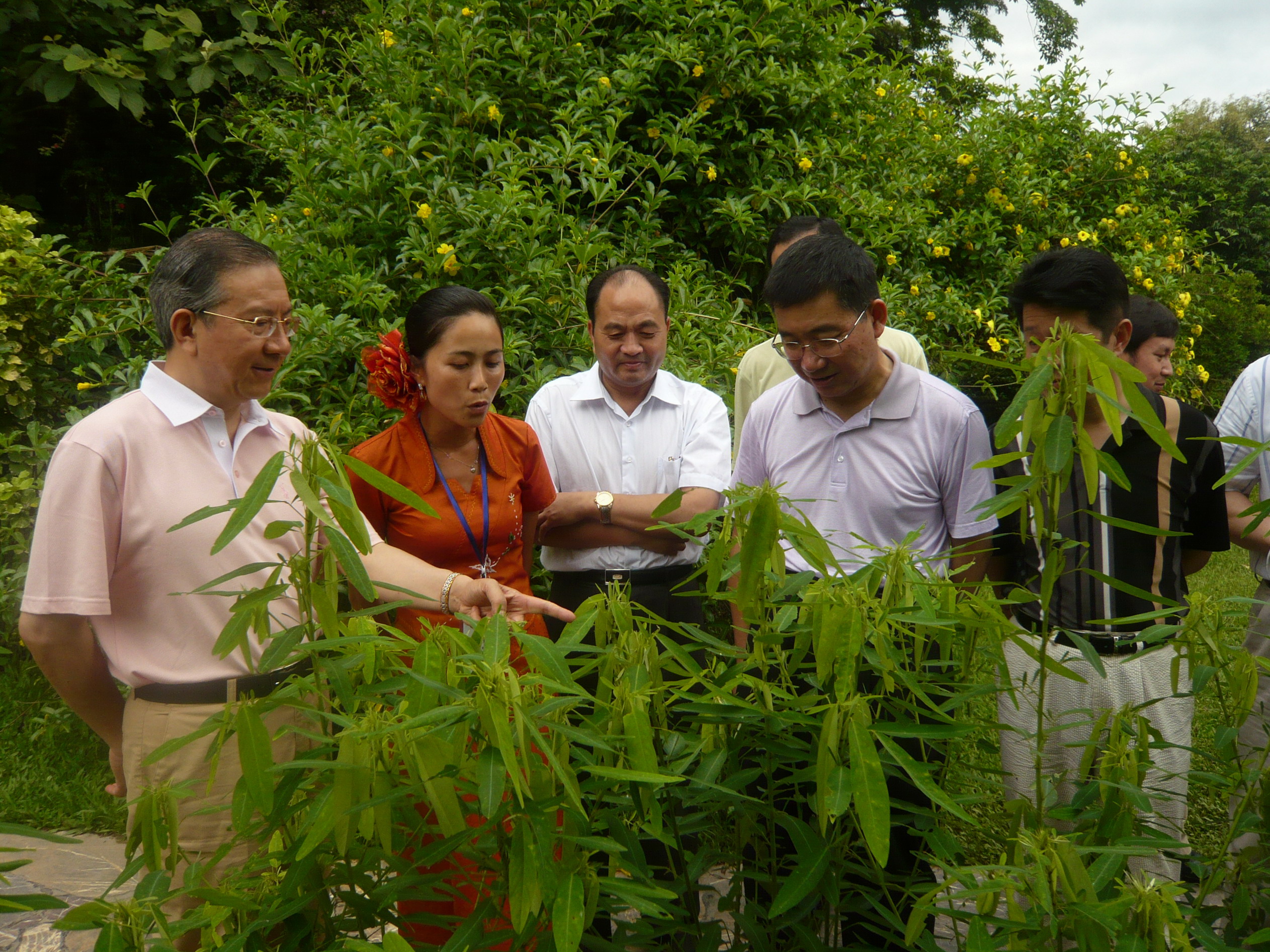 Shanghai Municipal official visits XTBG----Xishuangbanna Tropical ...