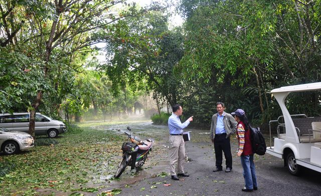 Hailstone damages landscape plants in XTBG----Xishuangbanna Tropical ...